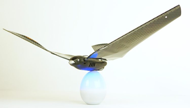 Bionic Bird: A Small Smartphone Controlled Flying Bird